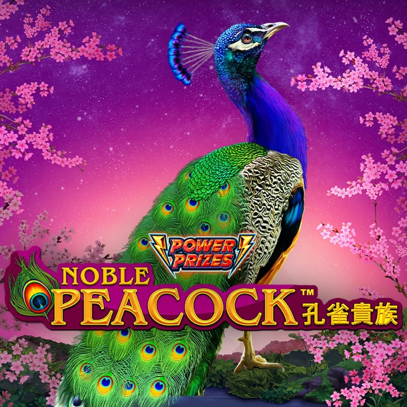 noble peacock